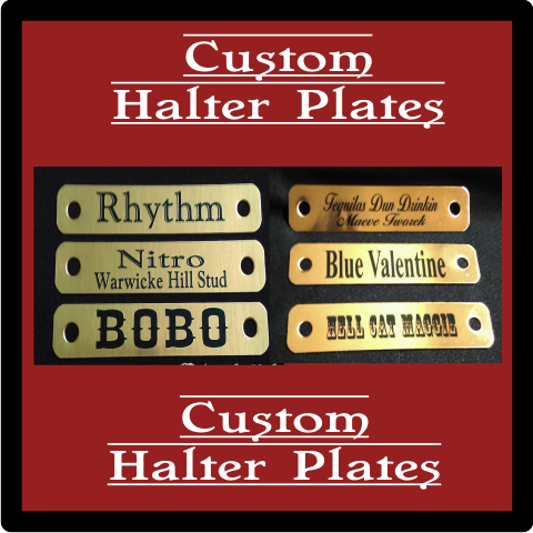Horse Halter - Dog Collar Brass Plates CowgirlsLoft.com | Cowgirls Loft